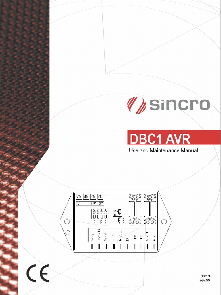 AVR DBC1 DC Generator Manual | PDF | Electric Generator | Direct Current