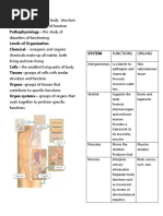 Aaos Rom Values | PDF | Anatomical Terms Of Motion | Limbs (Anatomy)