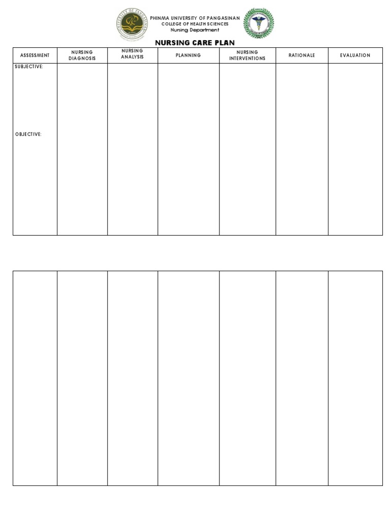 Nursing care plan template for PHINMA University | PDF