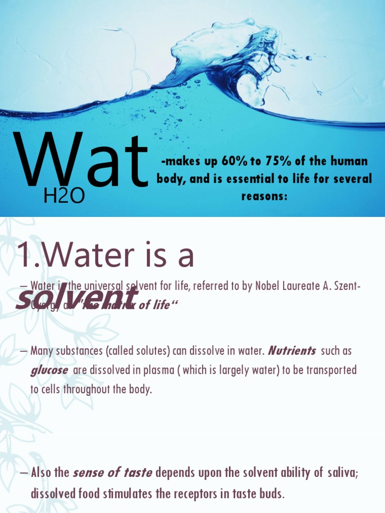 The Essential Role of Water in the Human Body: A Breakdown of its Key ...