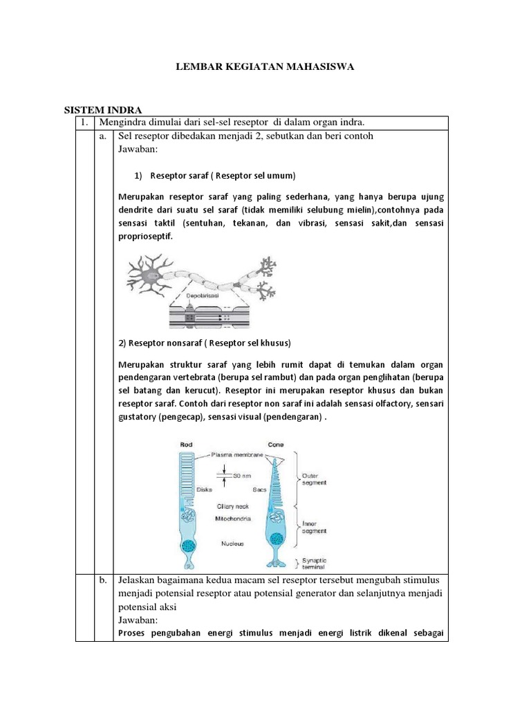 LKM Sistem Indra Kelompok 10 | PDF