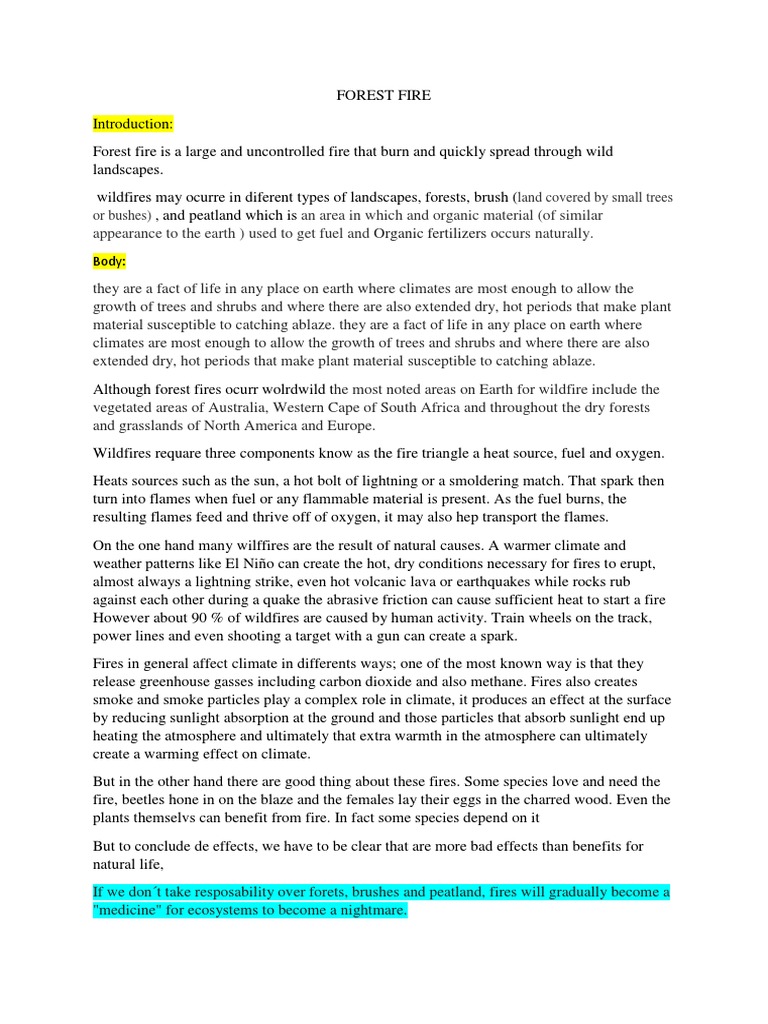 Forest Fire Information | PDF | Wildfire | Fires