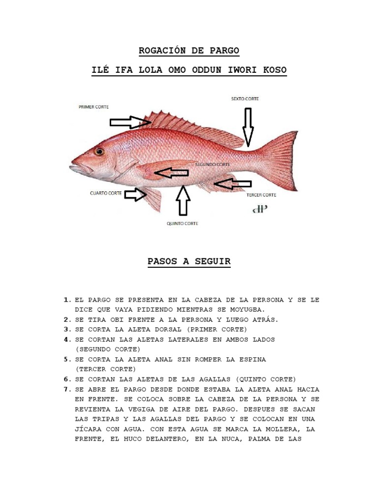 Ritual de Rogación de Pargo Detallado | PDF