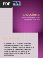 11 Apexificacion y Apexogenesis PDF | PDF