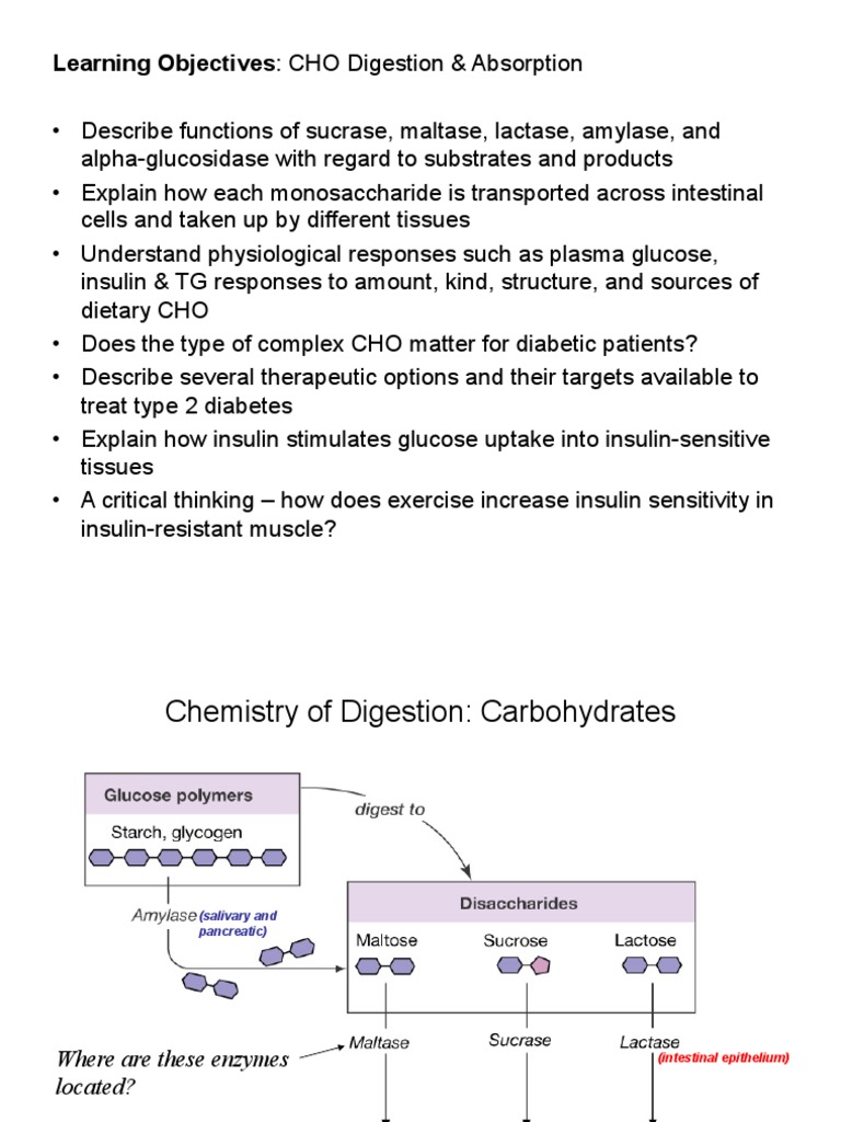 Carbohydrates and Absorption | PDF | Glucose | Carbohydrates