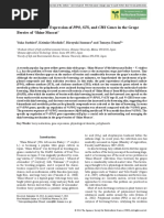 Profile of NSIC RC 160 and 218 | PDF | Crops | Agronomy