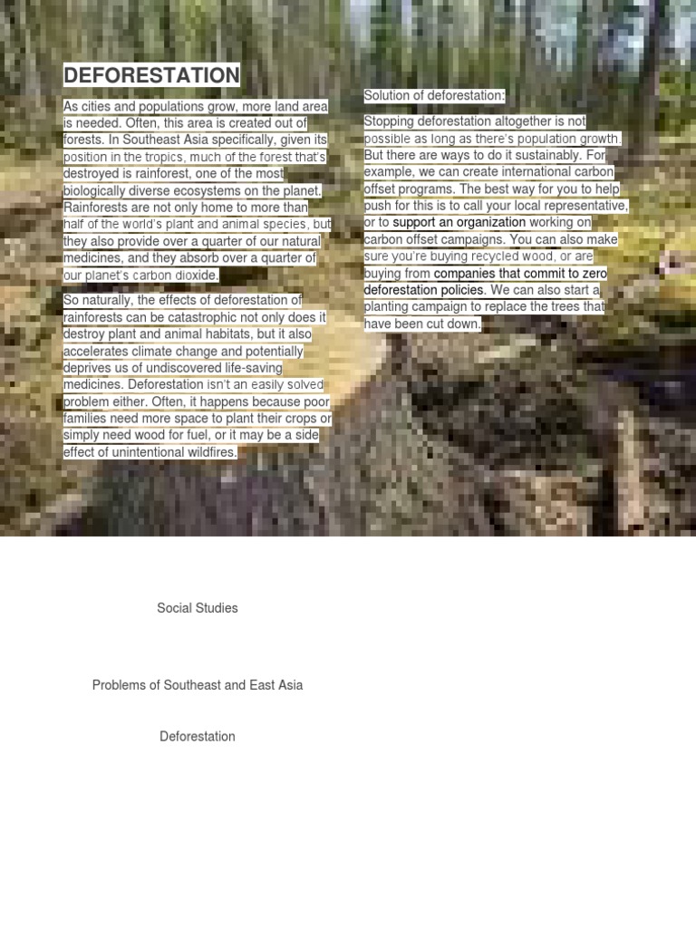 Deforestation: Support An Organization | PDF