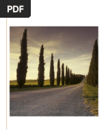 Values Restoration Program Overview | PDF | Religious Behaviour And ...