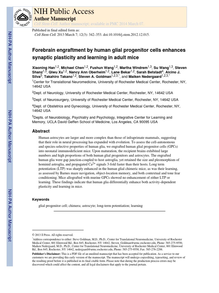 Forebrain Engraftment by Human Glial Progenitor Cells Enhances Synaptic ...