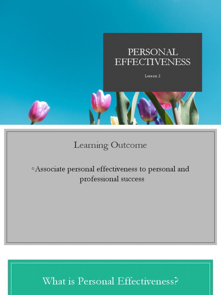 Personal Effectiveness: Lesson 2 | PDF | Board Of Directors | Internet