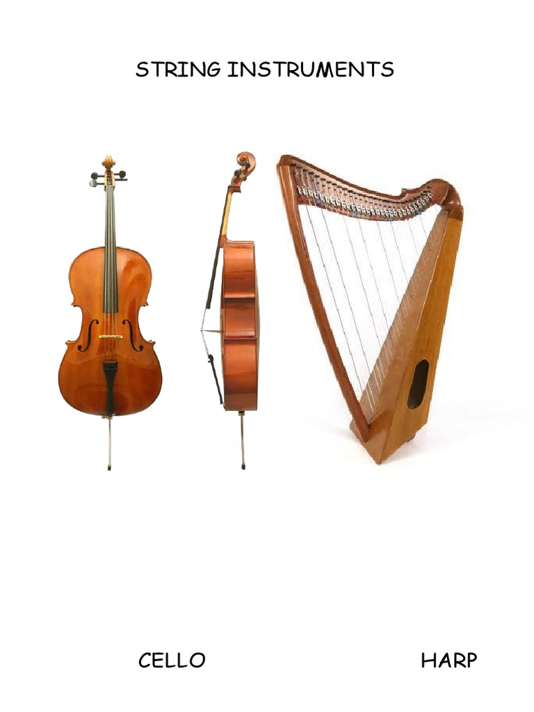 String Instruments | PDF
