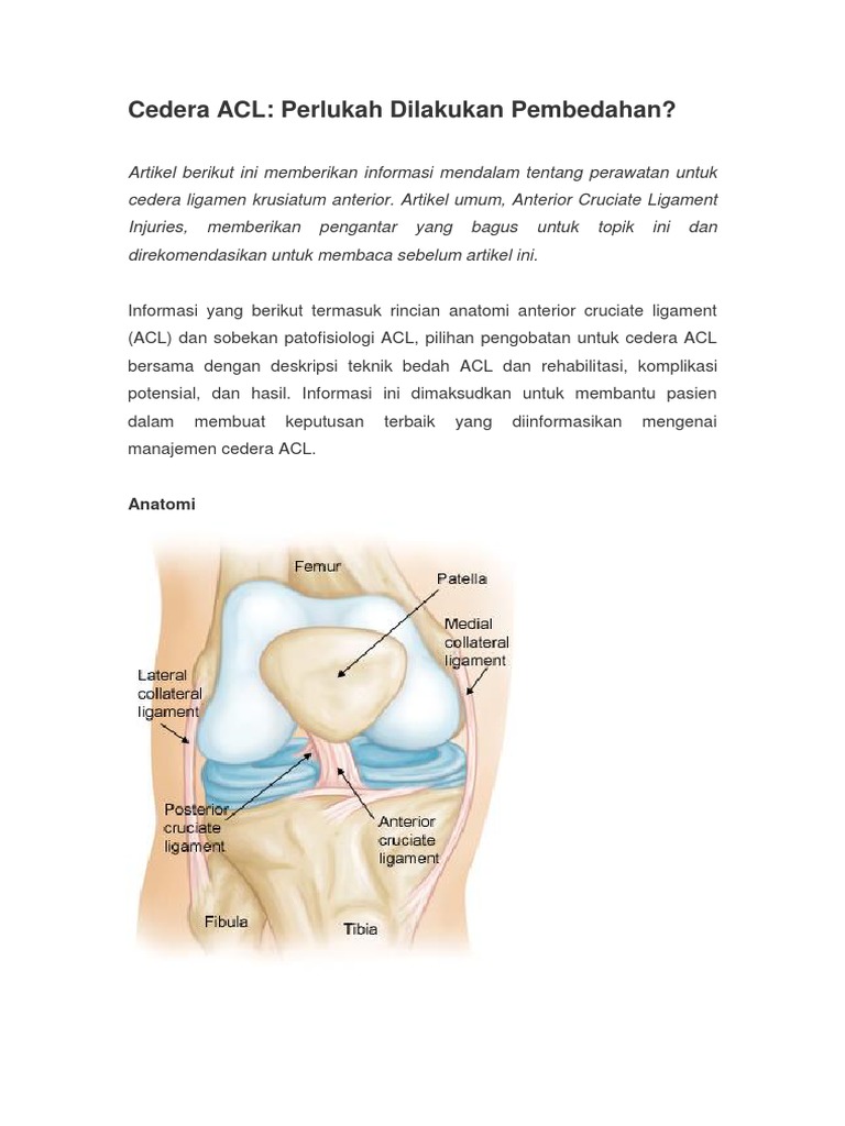 Cedera Pada ACL | PDF