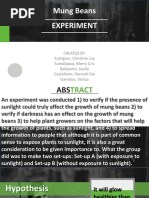 Germination Mung Beans | PDF | Seedling | Seed