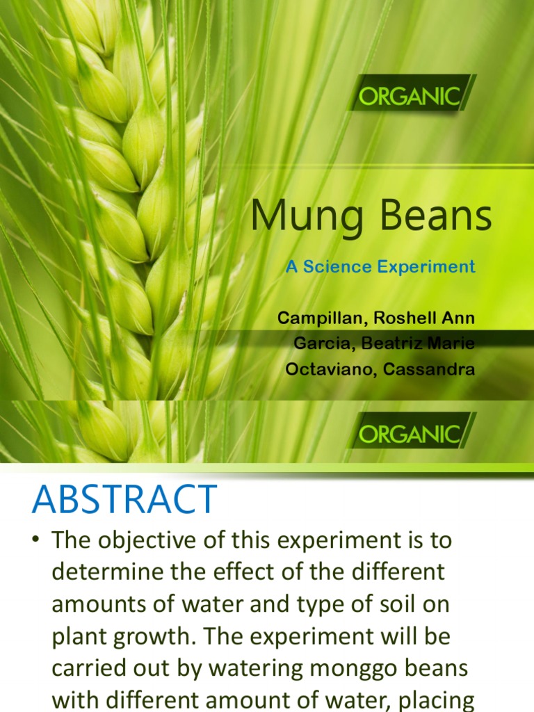 Monggo Final | PDF | Soil | Plants