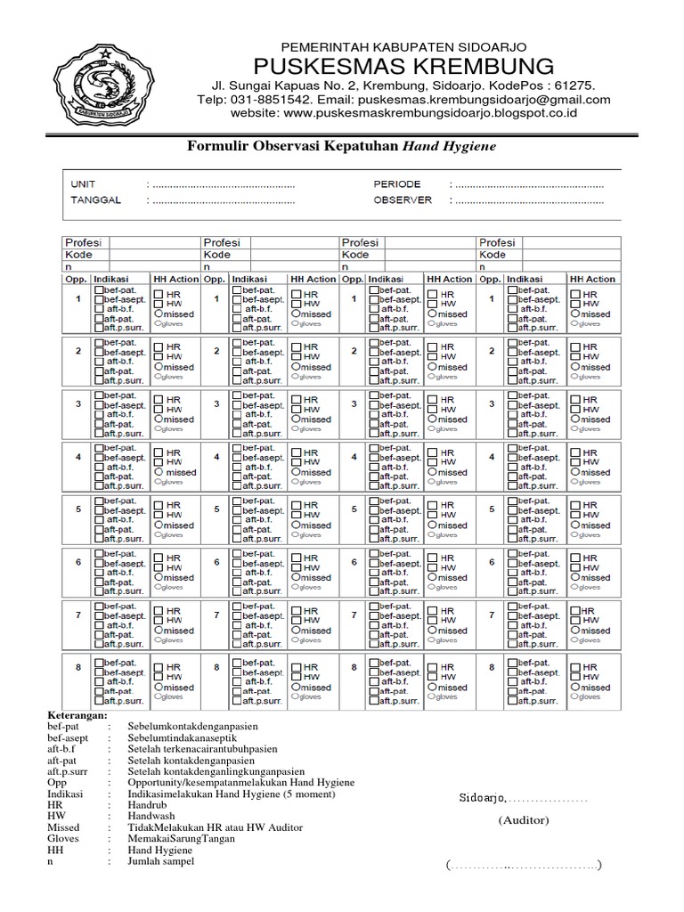 Audit Hand Hygiene PDF