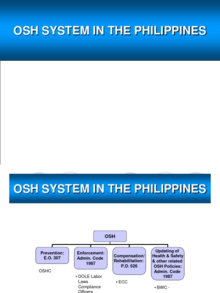 A Comprehensive Overview of the Occupational Safety and Health System ...