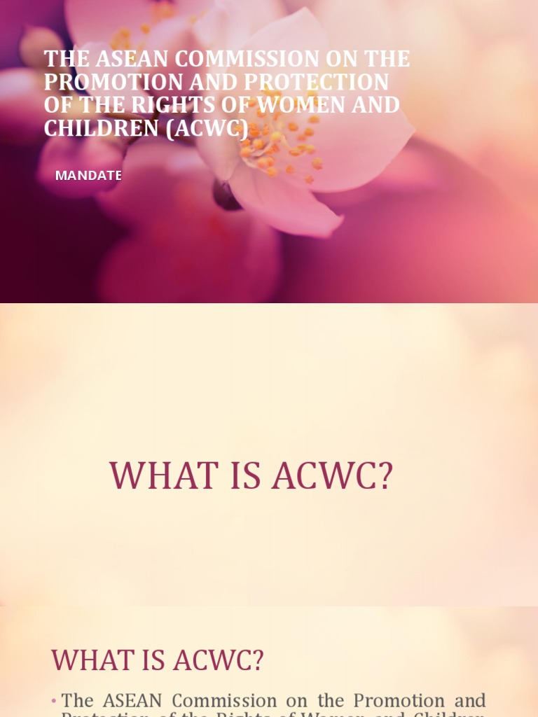 The Asean Commission On The Promotion and Protection of The Rights of ...