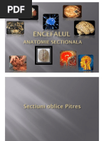 LESSON PLAN - Major Organs of The Body | PDF | Human Body | Heart