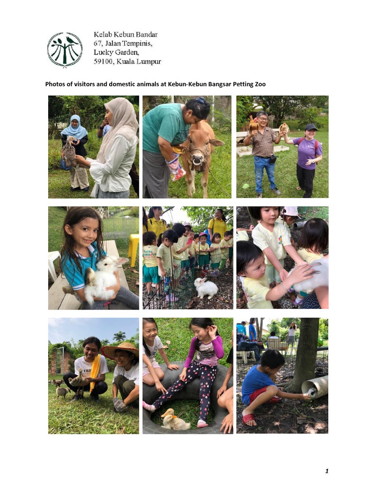 D - Photos of Petting Zoo PDF | PDF | Science & Mathematics