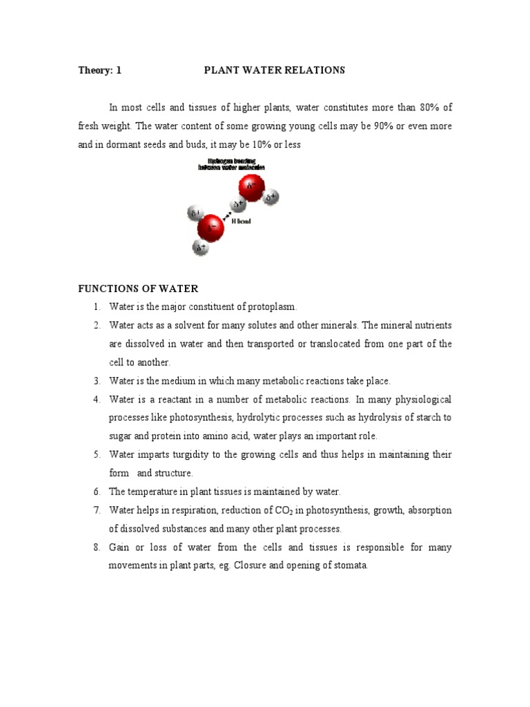 Plant Water Relations: A Comprehensive Examination of Water Transport ...