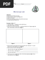 Onion Cell and Cheek Cell Lab | PDF | Cell (Biology) | Anatomy