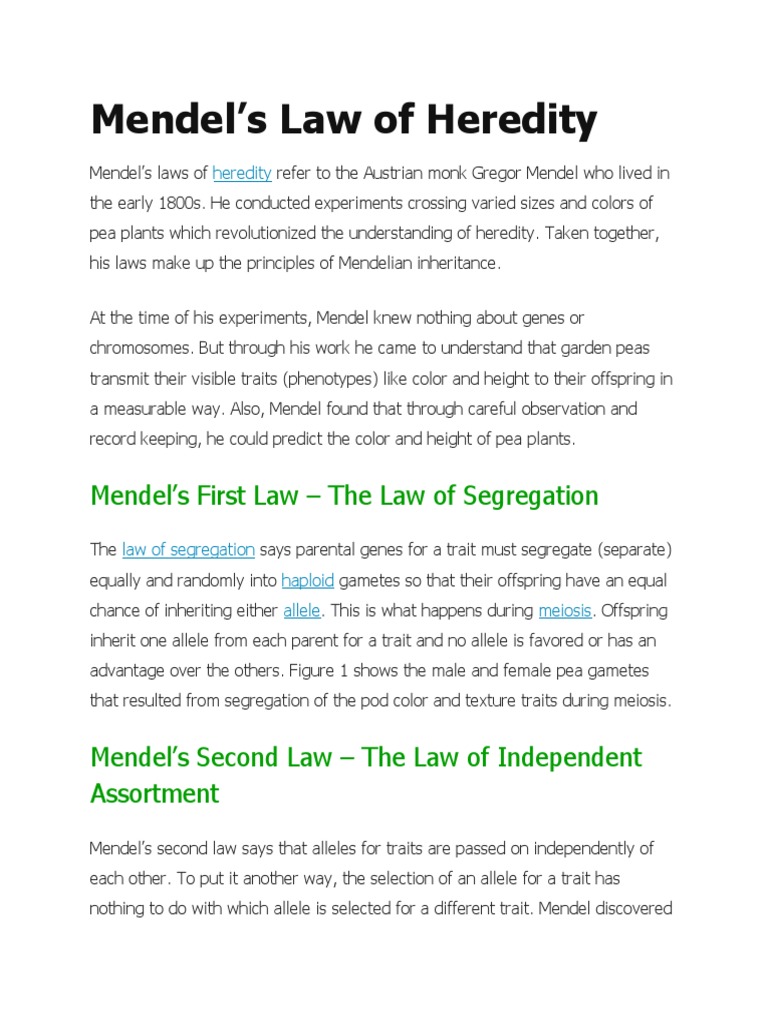 Mendel Law | PDF | Dominance (Genetics) | Genetics