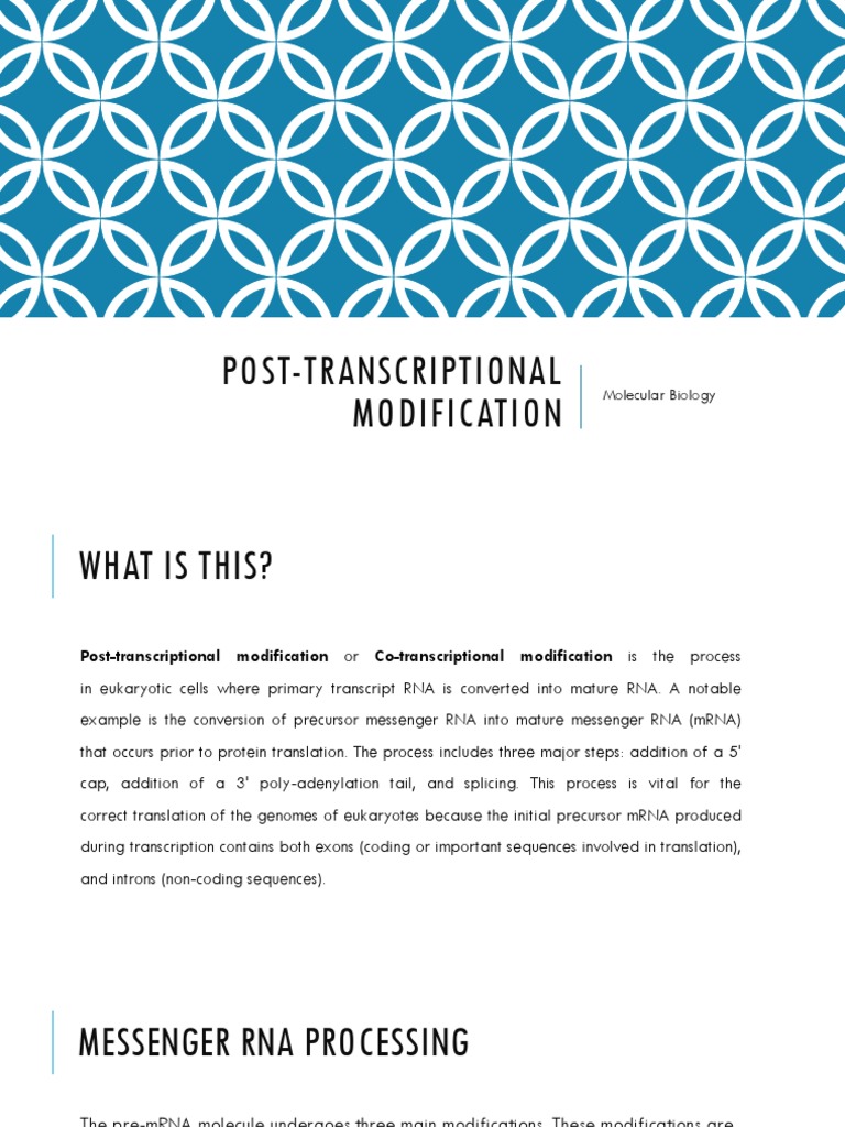 Eukaryotic Post-Transcriptional Modifications | PDF | Messenger Rna ...