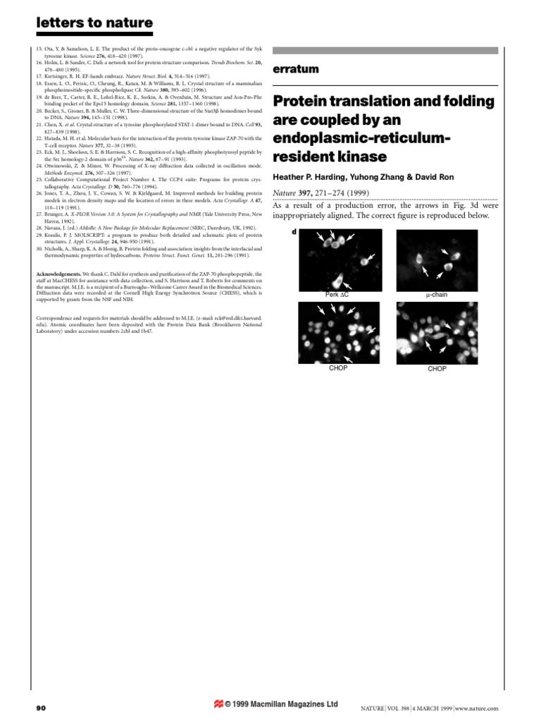 Protein Translation and Folding Are Coupled by An Endoplasmic-Reticulum ...