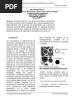 Refenax Gotas Nasales Prospecto | PDF | Asma | Farmacología