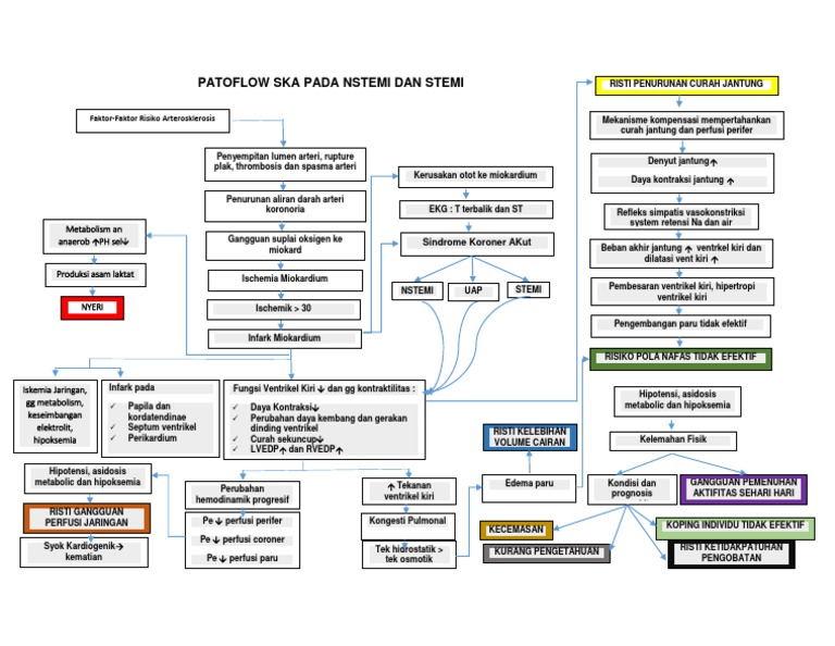 Patoflow Ska Pada Nstemi Dan Stemi | PDF