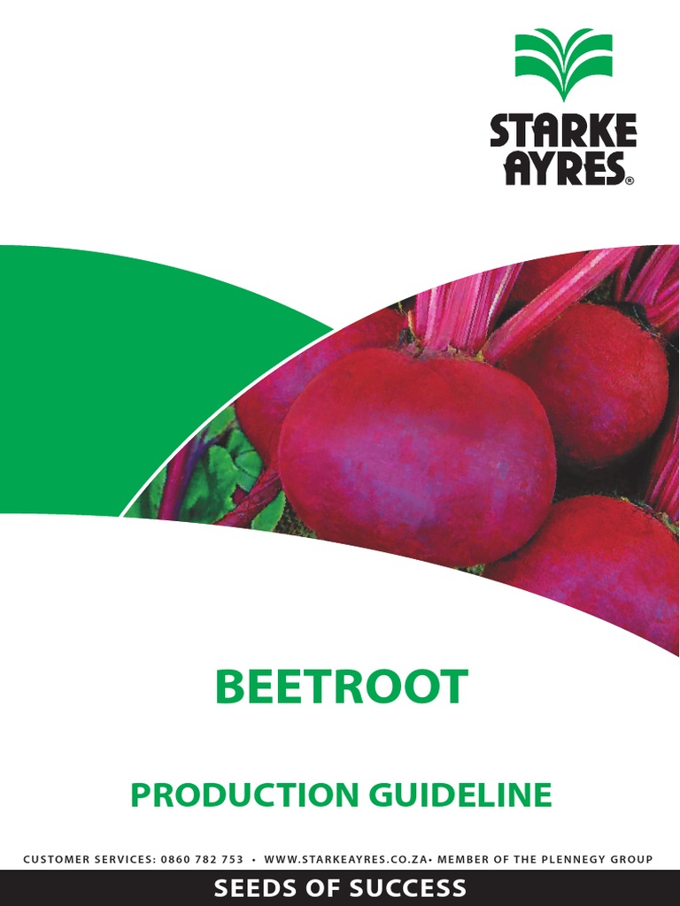 Beetroot Production Guideline 2014 | PDF | Beetroot | Sowing
