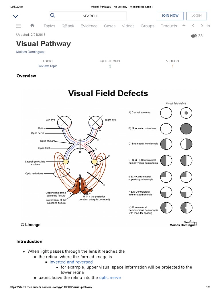 Visual Pathway - Neurology - Medbullets Step 1 | PDF | Visual System ...