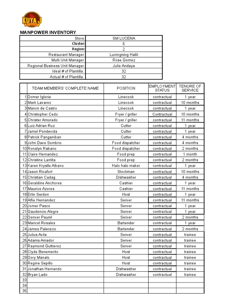 Manpower Inventory | PDF