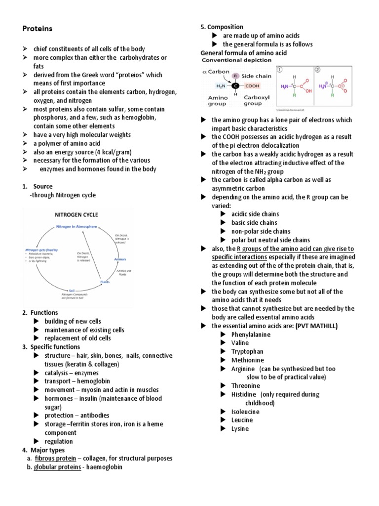 Proteins: 5. Composition | PDF | Protein Structure | Amino Acid