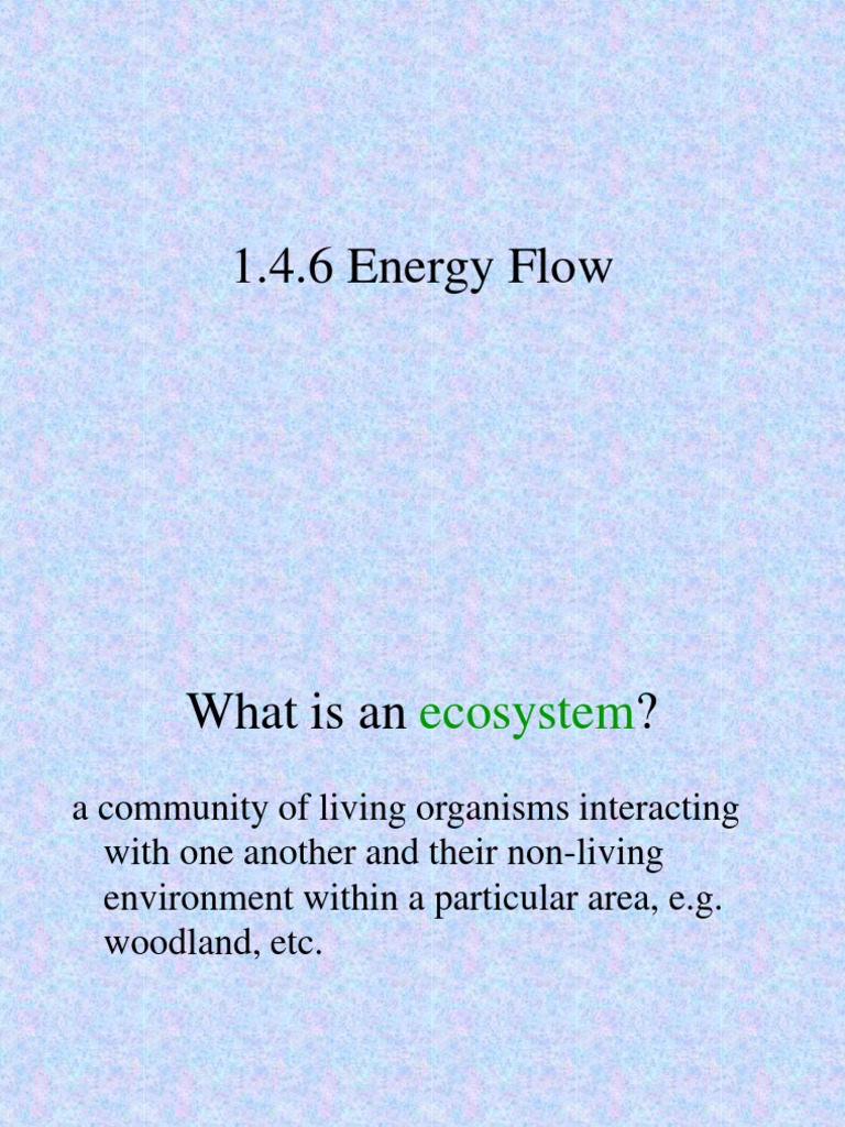 1.4.6 Energy Flow | PDF | Food Web | Environmental Science