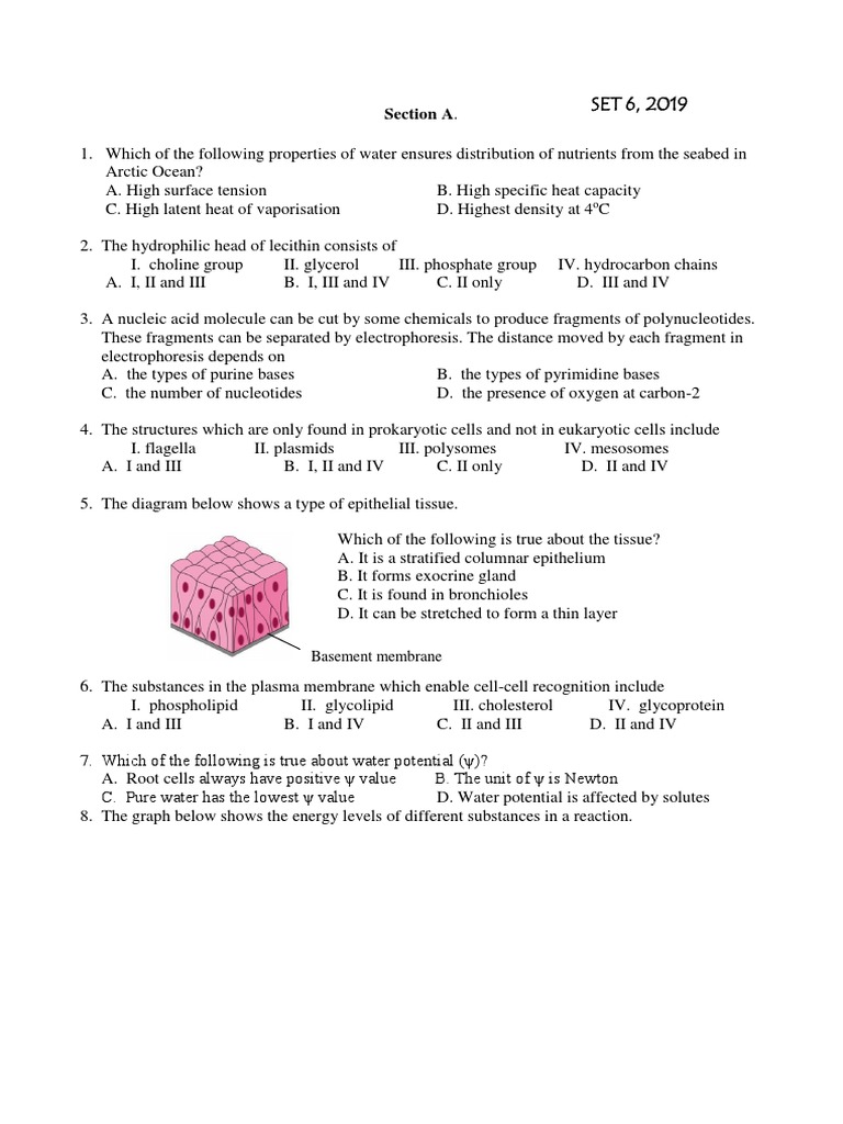 Section A.: Basement Membrane | PDF | Cofactor (Biochemistry) | Enzyme