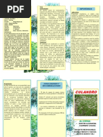 Sacha Culantro | PDF | Hierbas y especias | Alimentos