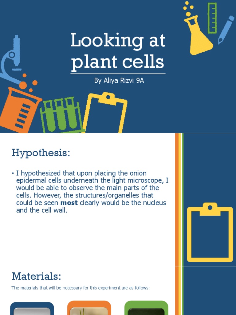 Looking at Cells | PDF