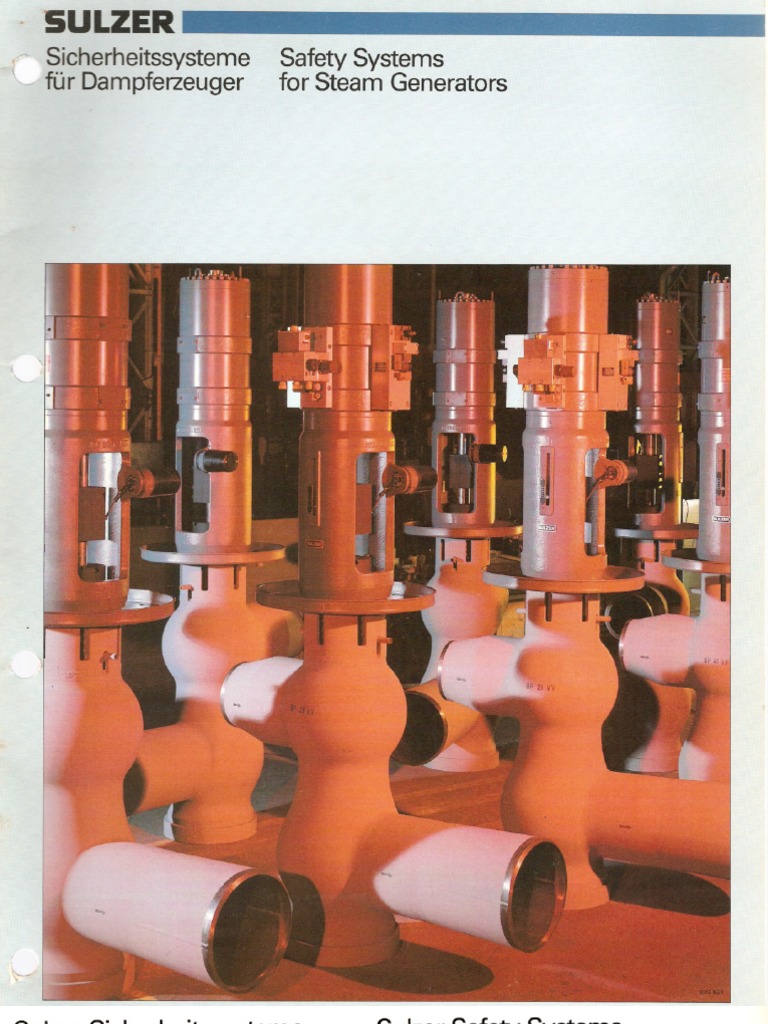 Bypass Safety System | PDF