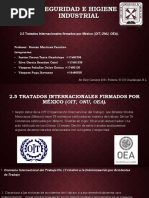 Pirámide de Kelsen, Seguridad e Higiene Industrial | PDF | México | Derecho laboral