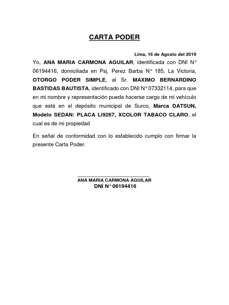 Carta Poder Simple Sunat | PDF