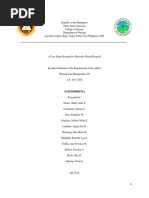 MSE Report Example: Lucy's Assessment | PDF | Mental And Behavioural ...