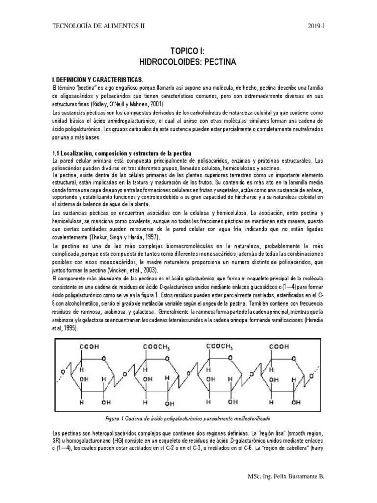 Estructura y Clasificación de la Pectina | PDF | Ácido | Solubilidad