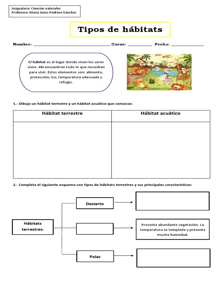 Guía Tipos de Habitats | PDF | Habitat | Entorno natural