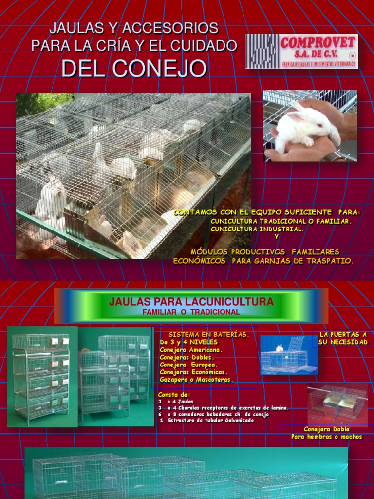 Crianza De Conejos Pdf Materiales Rieles