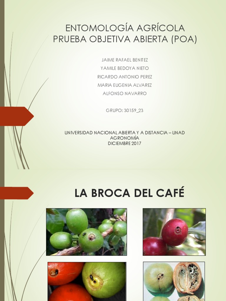 Control Biológico de la Broca del Café | PDF | café | Insectos