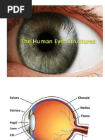 Quantum Vision System | PDF | Glasses | Human Eye