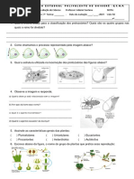 Atividade - Classificação Dos Seres Vivos - Os Cinco Reinos | PDF