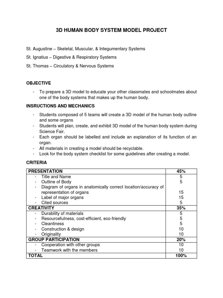 3D Human Body System Model Proposal | PDF | Respiratory Tract | Human ...