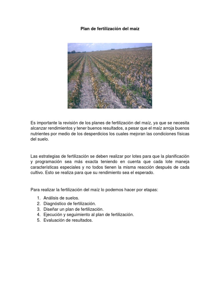 Plan de Fertilización del Maíz | PDF | Fertilizante | Suelo